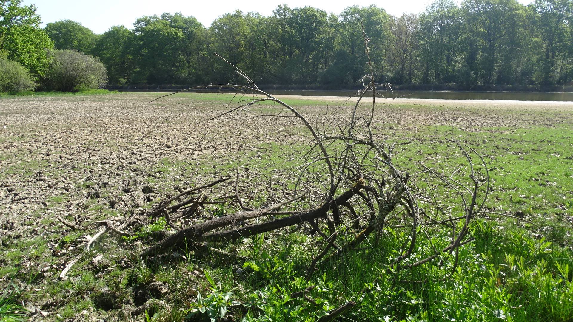 Etang Du Mez Savary - Lac Privé - Indre (36) | Colinmaire.net