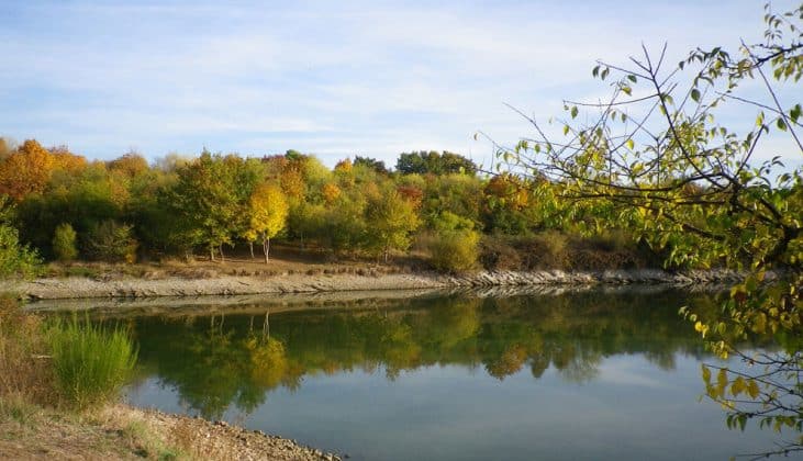 Lac De Rochereau – Grand Lac Public – Vendée (85) | Colinmaire.net