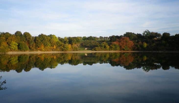 Lac De Rochereau – Grand Lac Public – Vendée (85) | Colinmaire.net