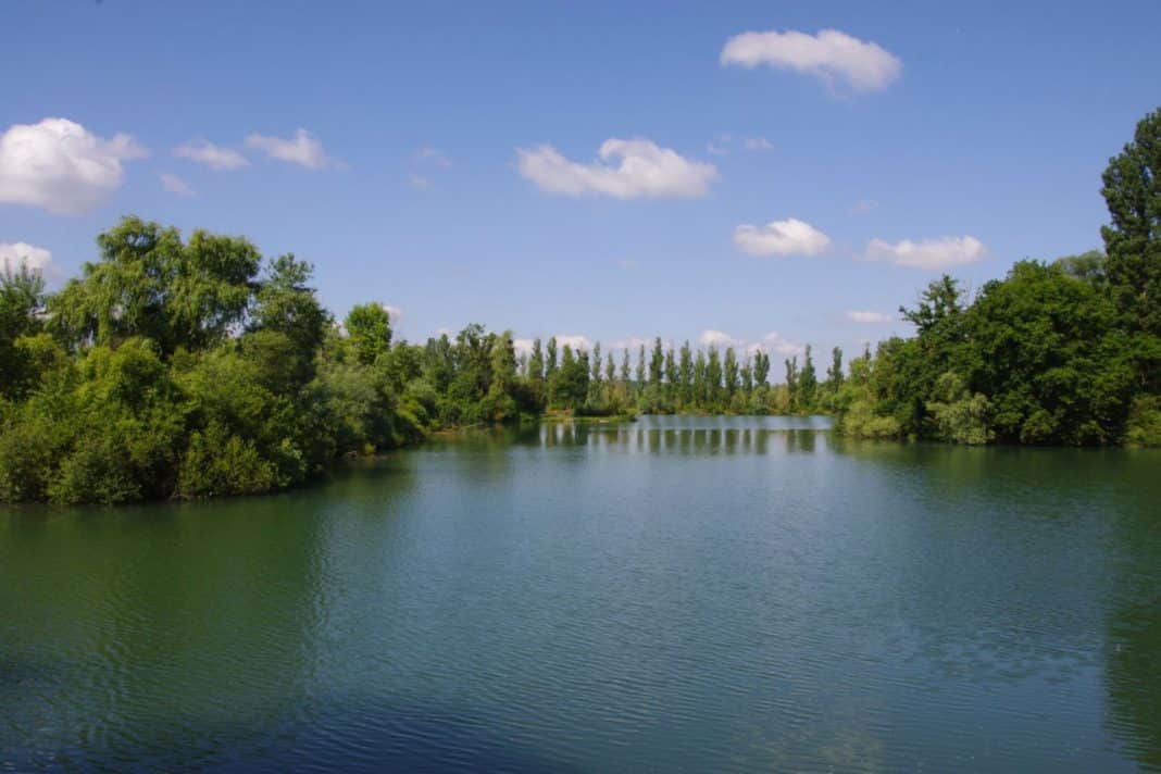 Etang Carpox'R - CarpaSens - Lac Privé - Yonne (89) | Colinmaire.net