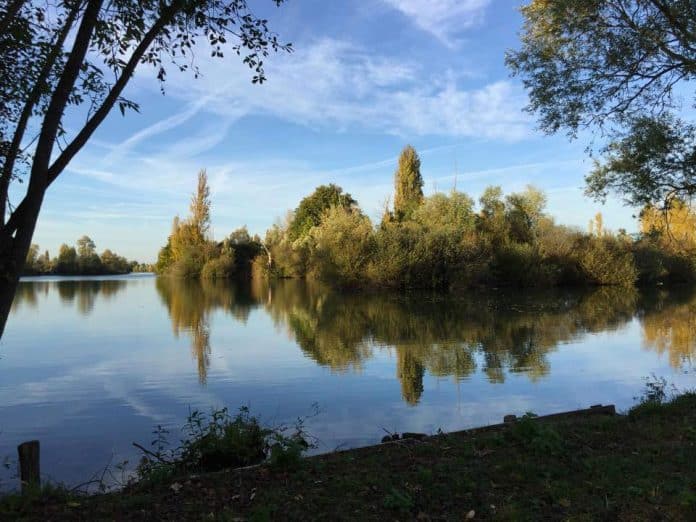 Etang Carpox'R - CarpaSens - Lac Privé - Yonne (89) | Colinmaire.net