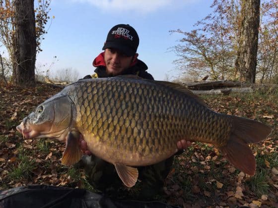 Etang Carpox'R - CarpaSens - Lac Privé - Yonne (89) | Colinmaire.net