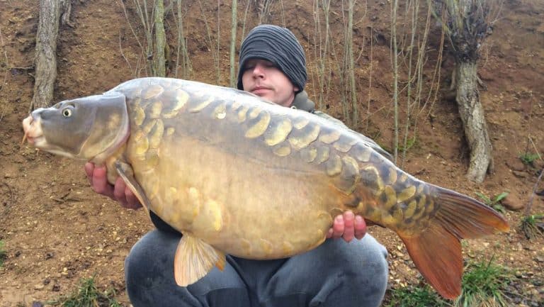 Etang Carpox'R - CarpaSens - Lac Privé - Yonne (89) | Colinmaire.net