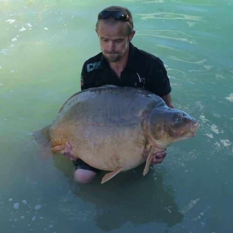 Etang Le Prunet - CarpaSens - Lac Privé - Yonne (89) | Colinmaire.net
