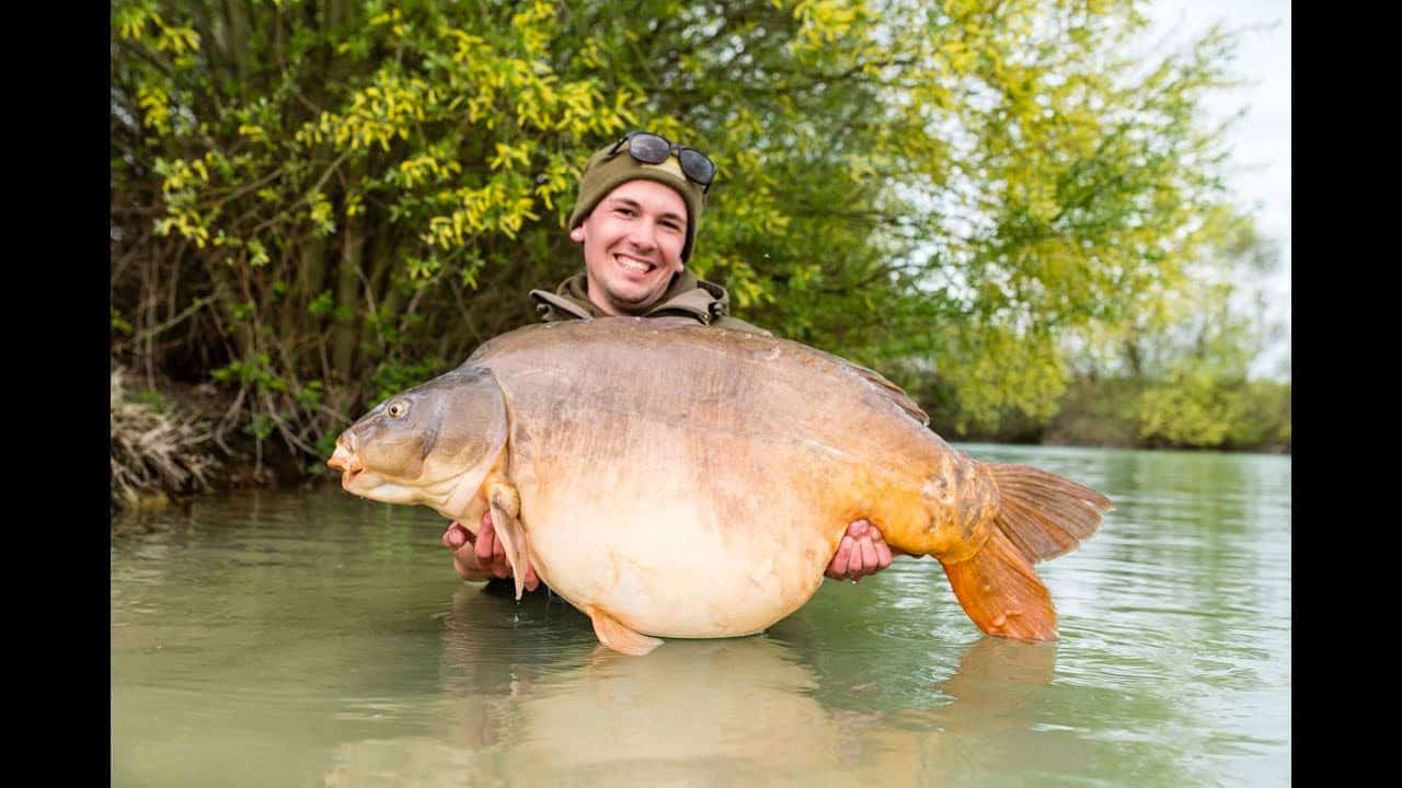 Etang Le Prunet - CarpaSens - Lac Privé - Yonne (89) | Colinmaire.net