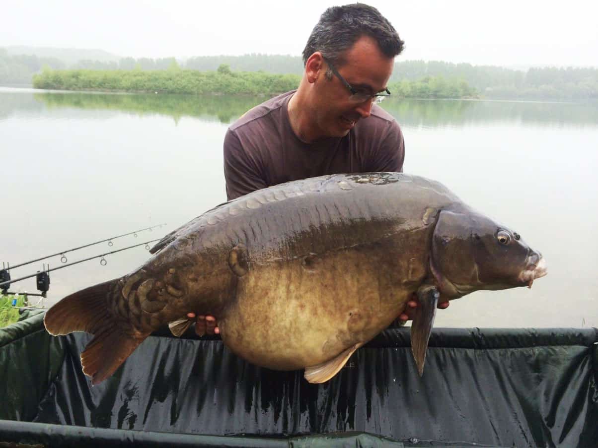 Jurassik Carpe - Etangs Du Domaine D'Halatte - Lac Privé - Oise (60 ...