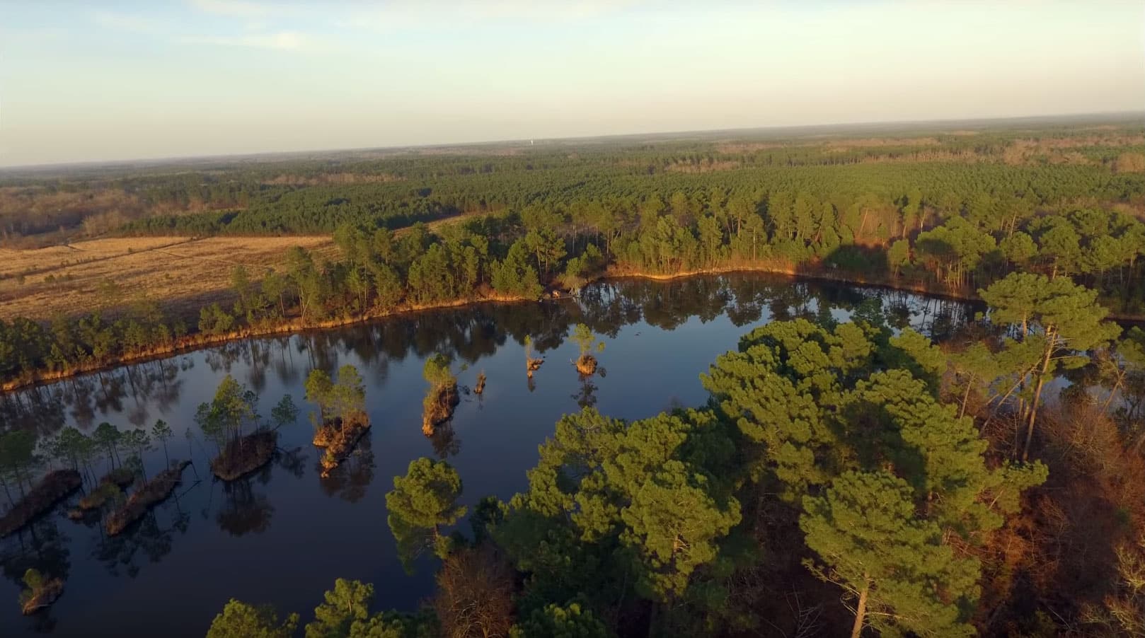 Lac De Curton - Rainbow Lake - Lac Privé - Gironde (33) | Colinmaire.net