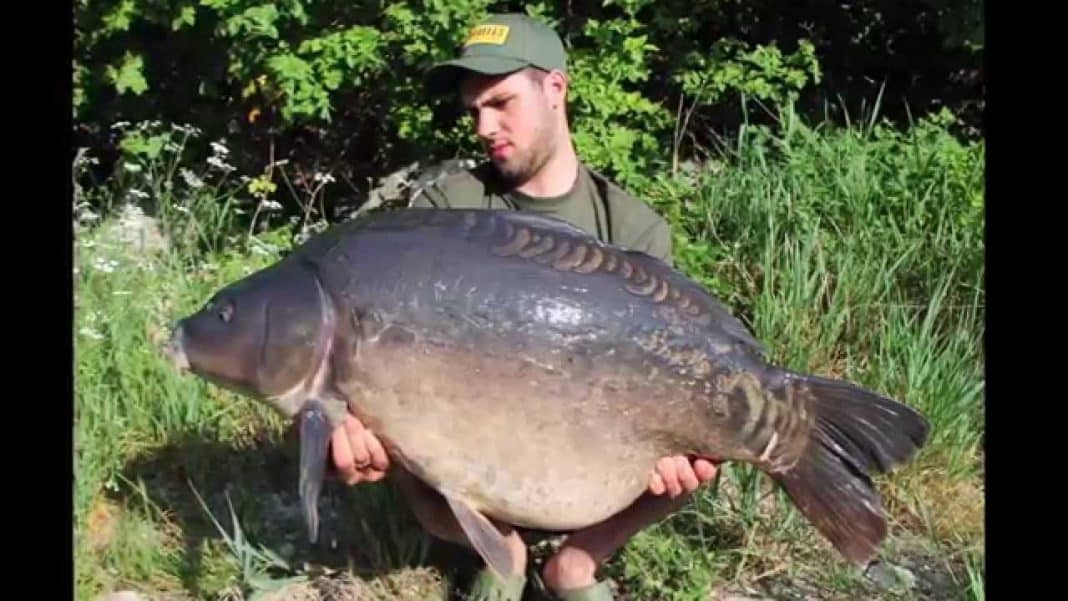 Lac De Carcès - Grand Lac Public - Var (83) | Colinmaire.net