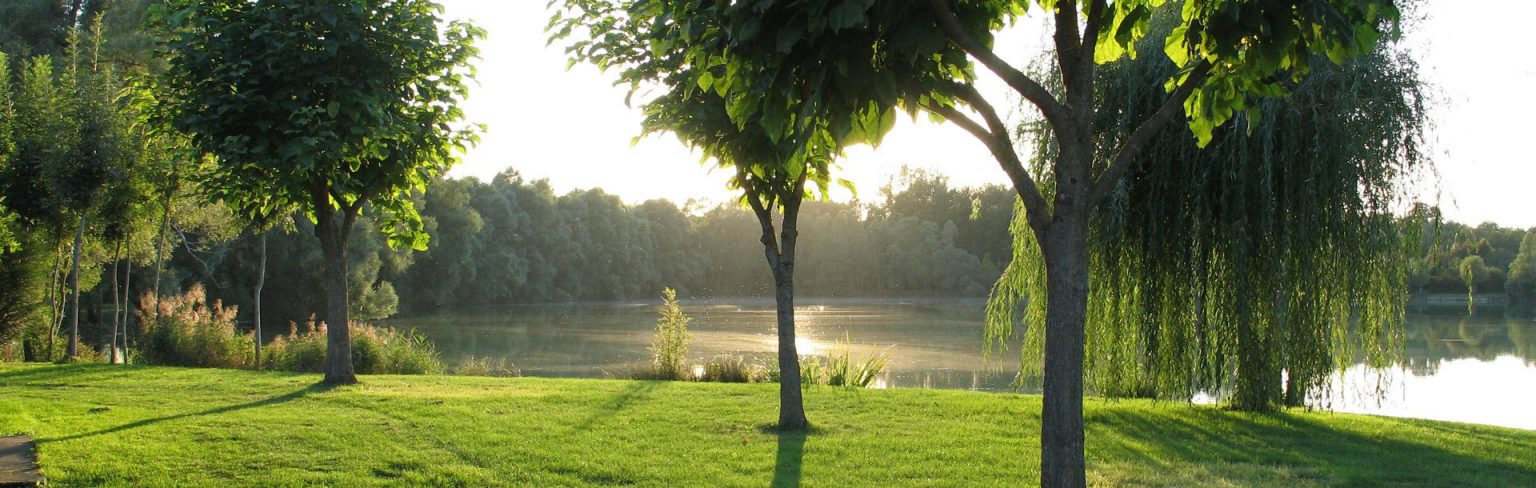 Luke Moffatt - The Graviers Dijon - Lac Privé - Côte D'Or (21 ...