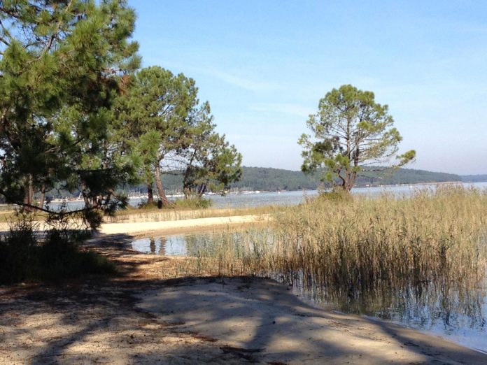 Lac De Biscarosse Et De Parentis - Grand Lac Public - Landes (40 ...