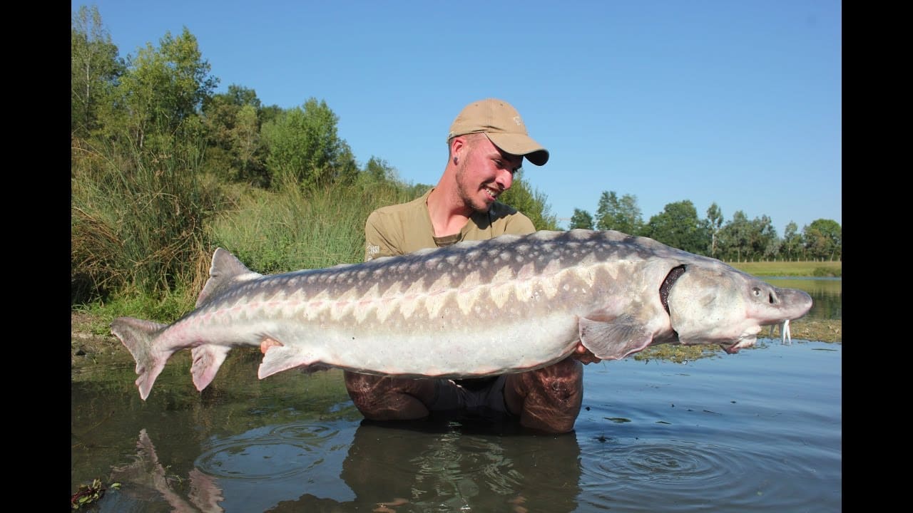 Iktus Béarn - Lac Sturgeon – Lac Privé – Pyrénées Atlantiques (64 ...
