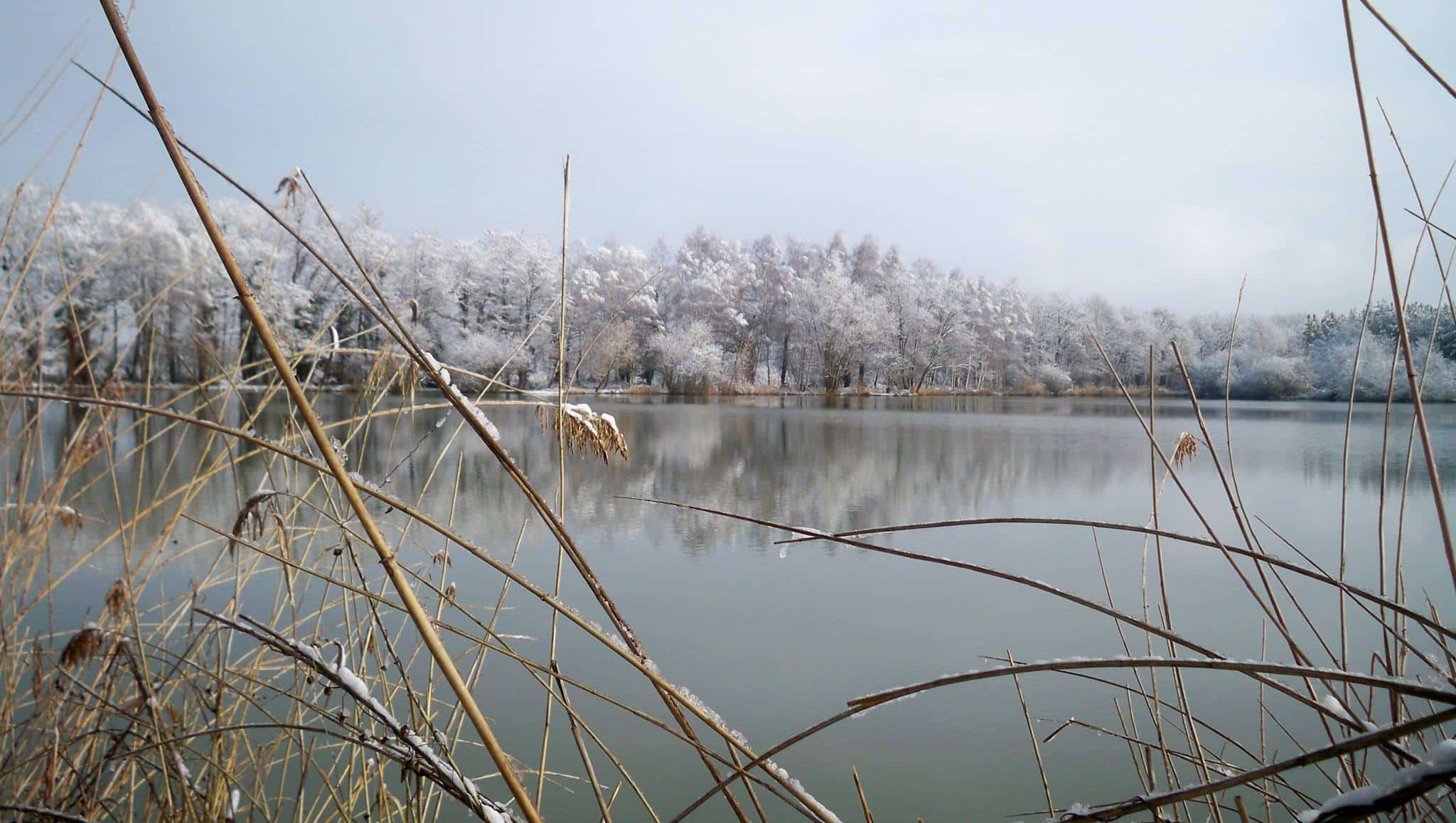 Etang Du Mez Savary - Lac Privé - Indre (36) | Colinmaire.net