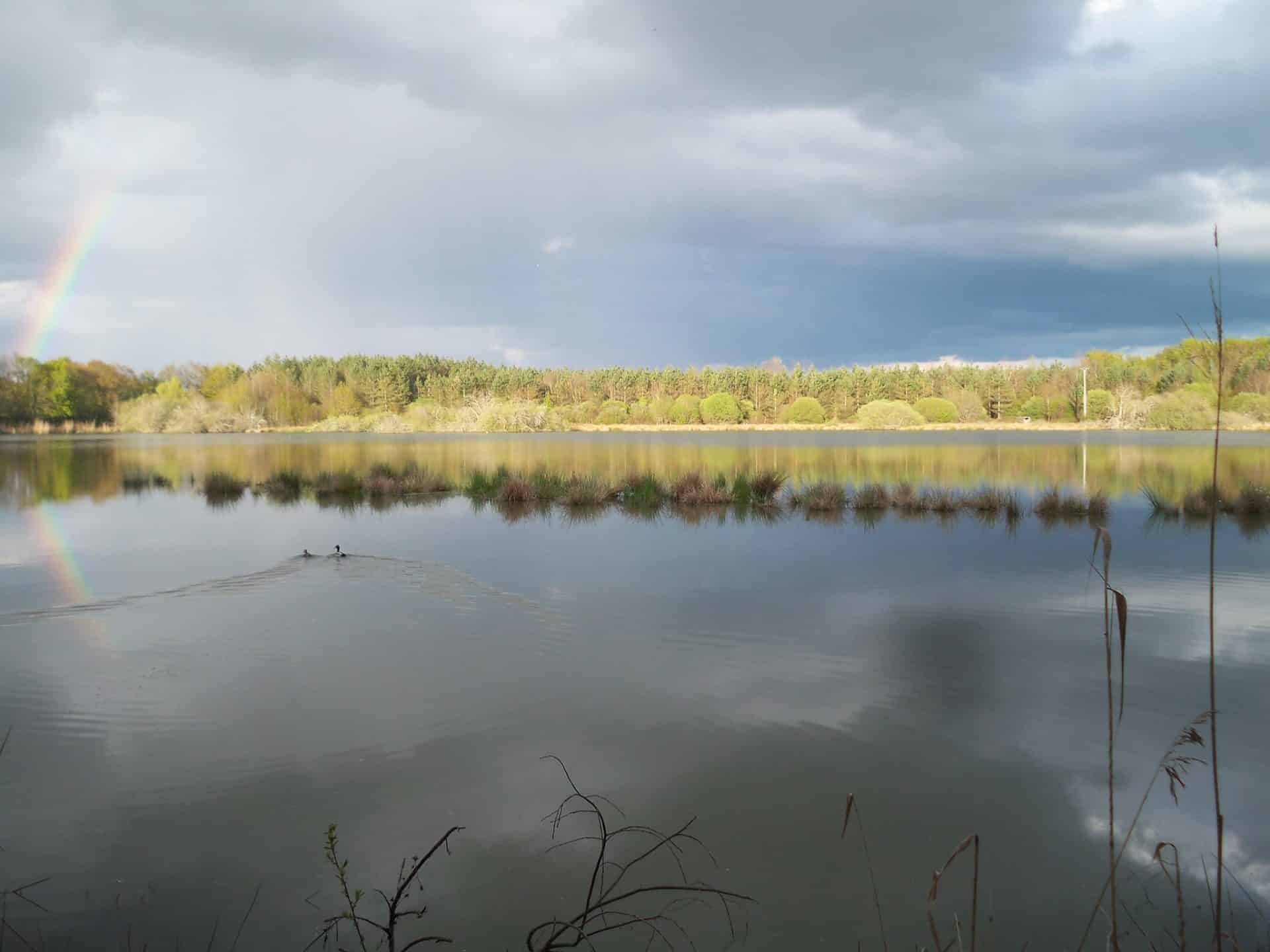 Etang Du Mez Savary - Lac Privé - Indre (36) | Colinmaire.net