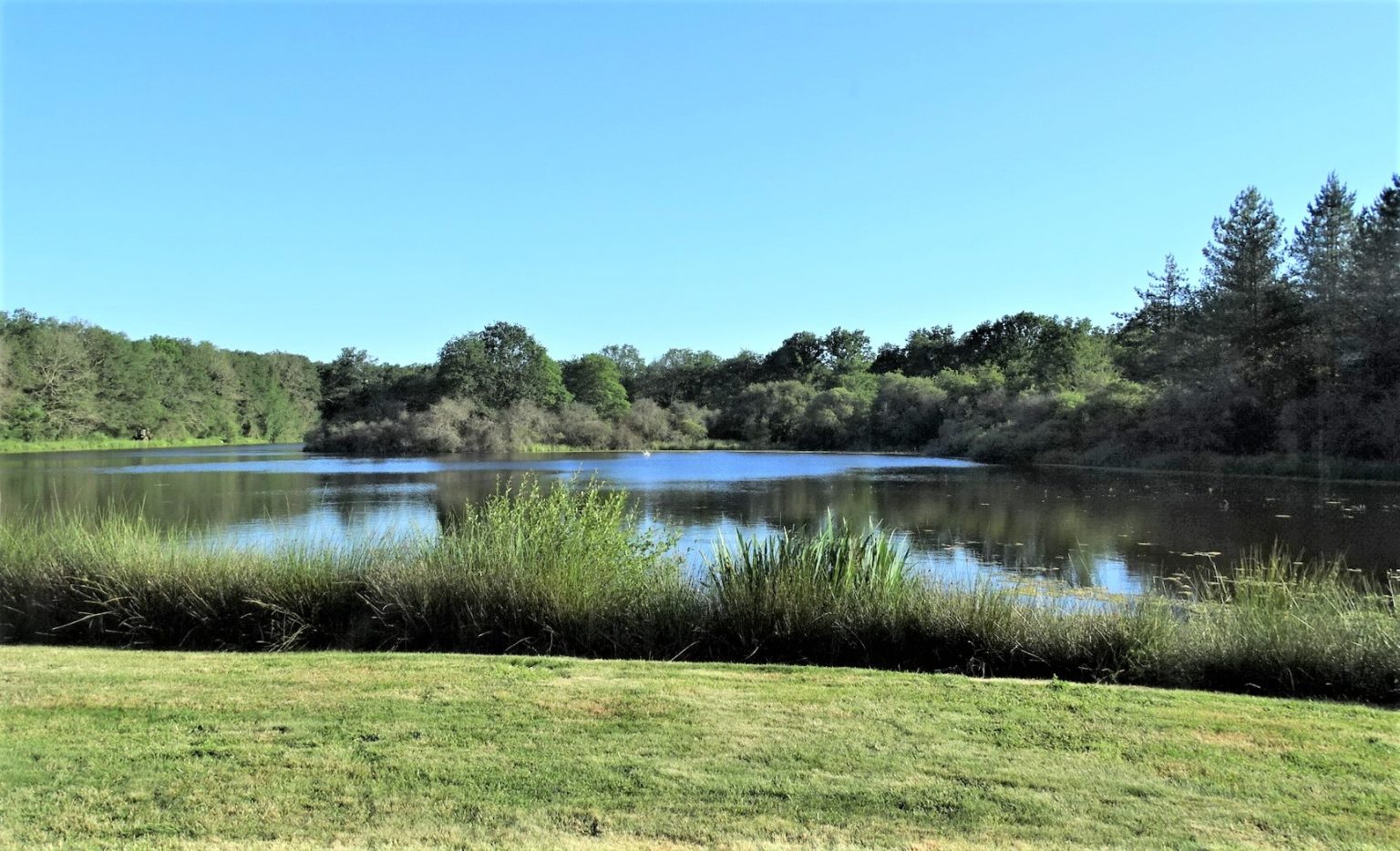 Etang Du Mez Savary - Lac Privé - Indre (36) | Colinmaire.net