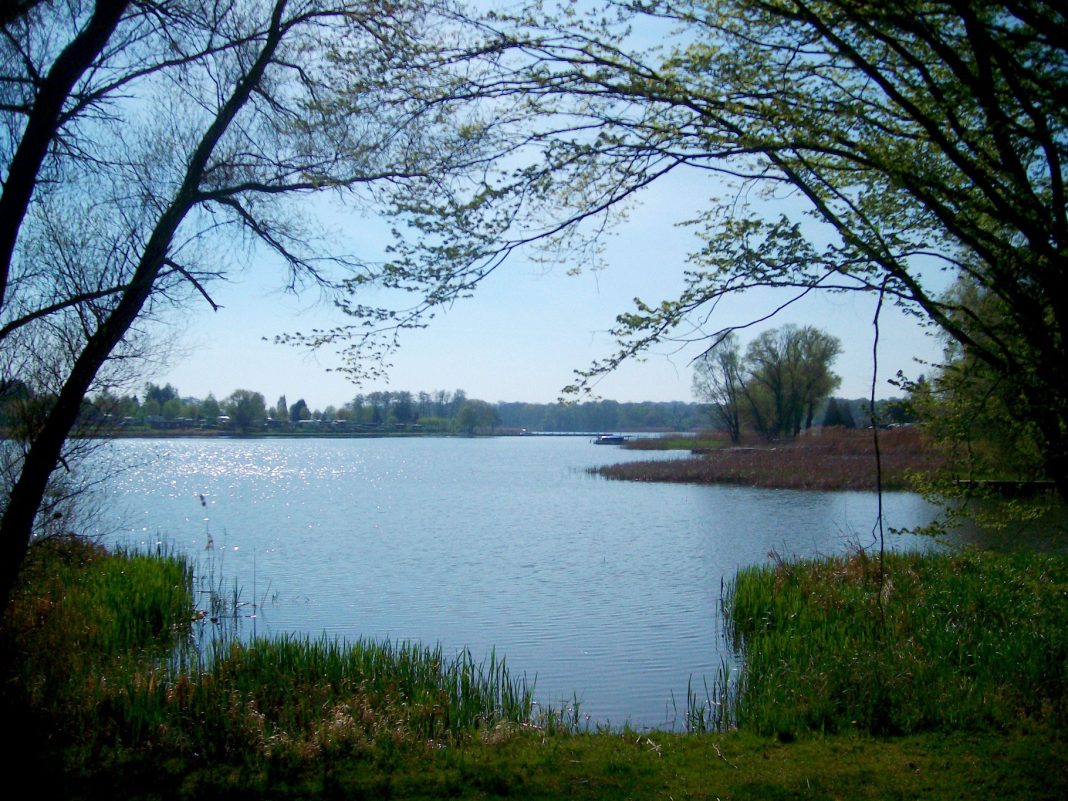 Etang Du Stock – Grand Lac Public – Moselle (57) | Colinmaire.net