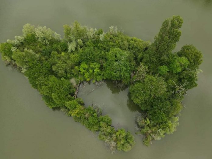 Etang Carpox'r - CarpaSens - Lac Privé - Yonne (89) | Colinmaire.net