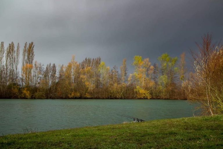 Authentic Fishing DC – Lac Privé – Yonne (89) | Colinmaire.net
