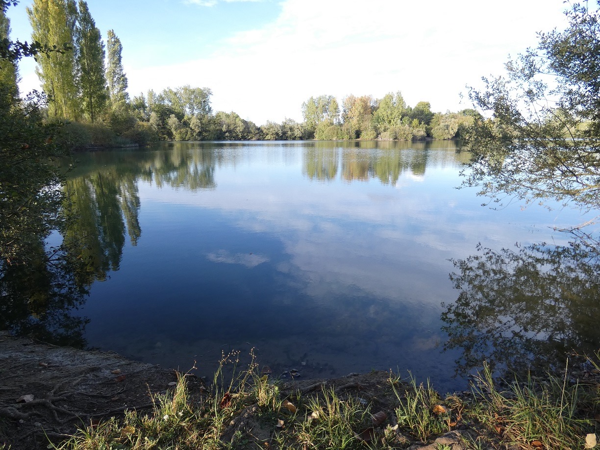 Authentic Fishing DC – Lac Privé – Yonne (89) | Colinmaire.net
