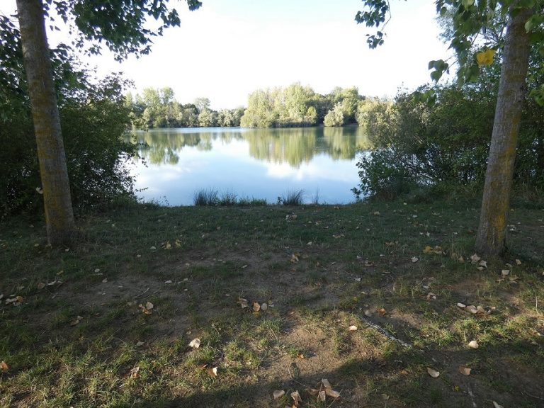 Authentic Fishing DC – Lac Privé – Yonne (89) | Colinmaire.net