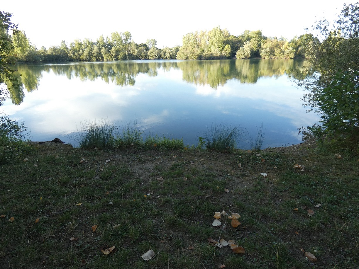 Authentic Fishing DC – Lac Privé – Yonne (89) | Colinmaire.net