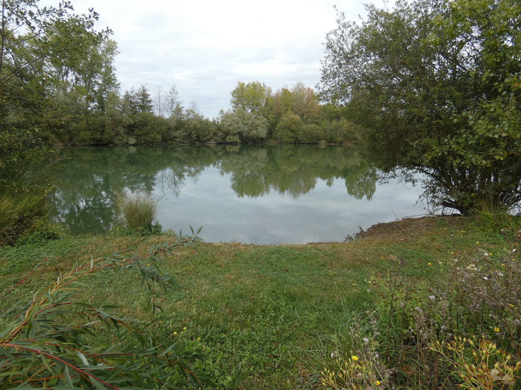 Authentic Fishing DC – Lac Privé – Yonne (89) | Colinmaire.net