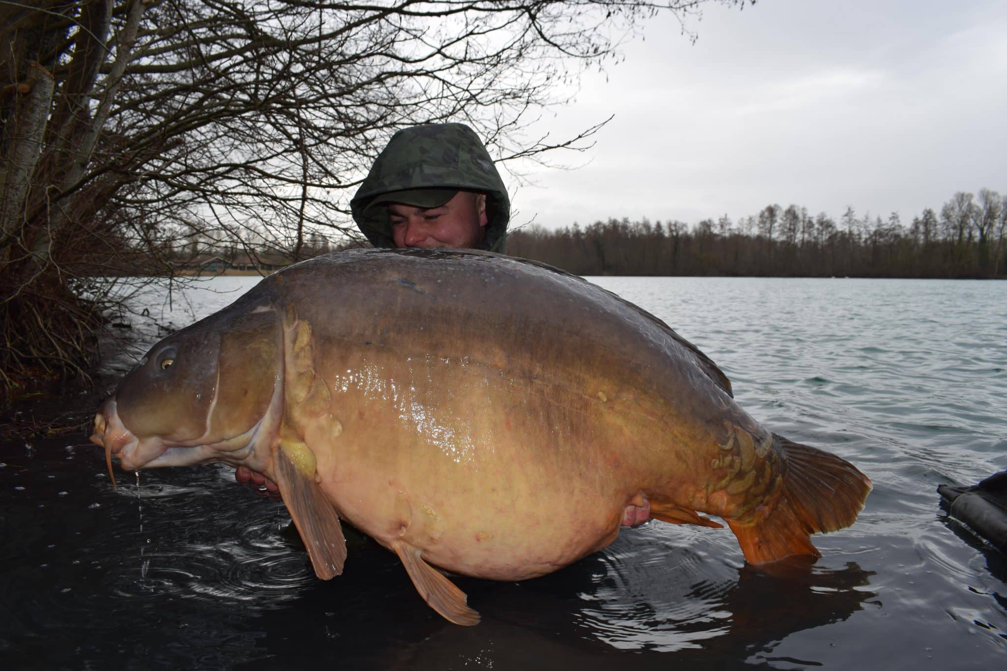 Carpe Miroir Record 40 Kilos – Lac De Première – Hervé Dewever ...