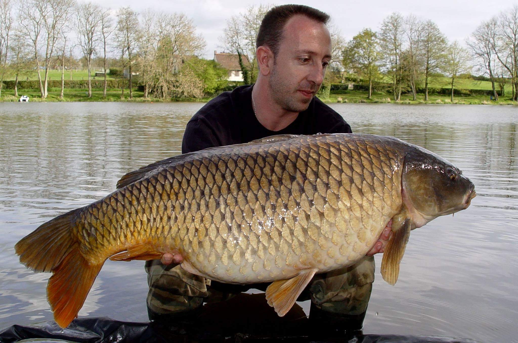 Etang De Rouge – Lac Privé – Eure Et Loir (28) | Colinmaire.net