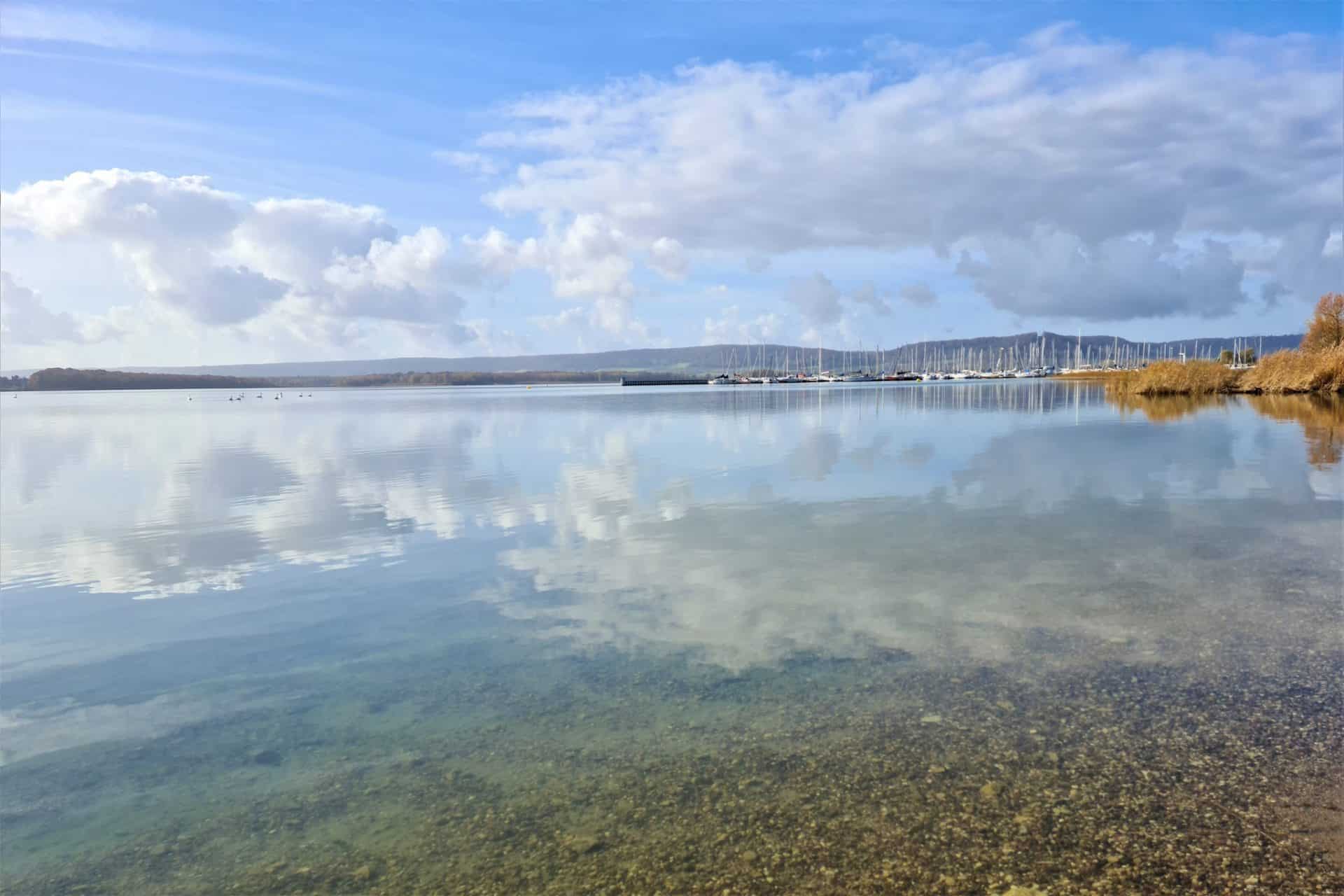 Lac De Madine - Grand Lac Public - La Meuse (55) | Colinmaire.net