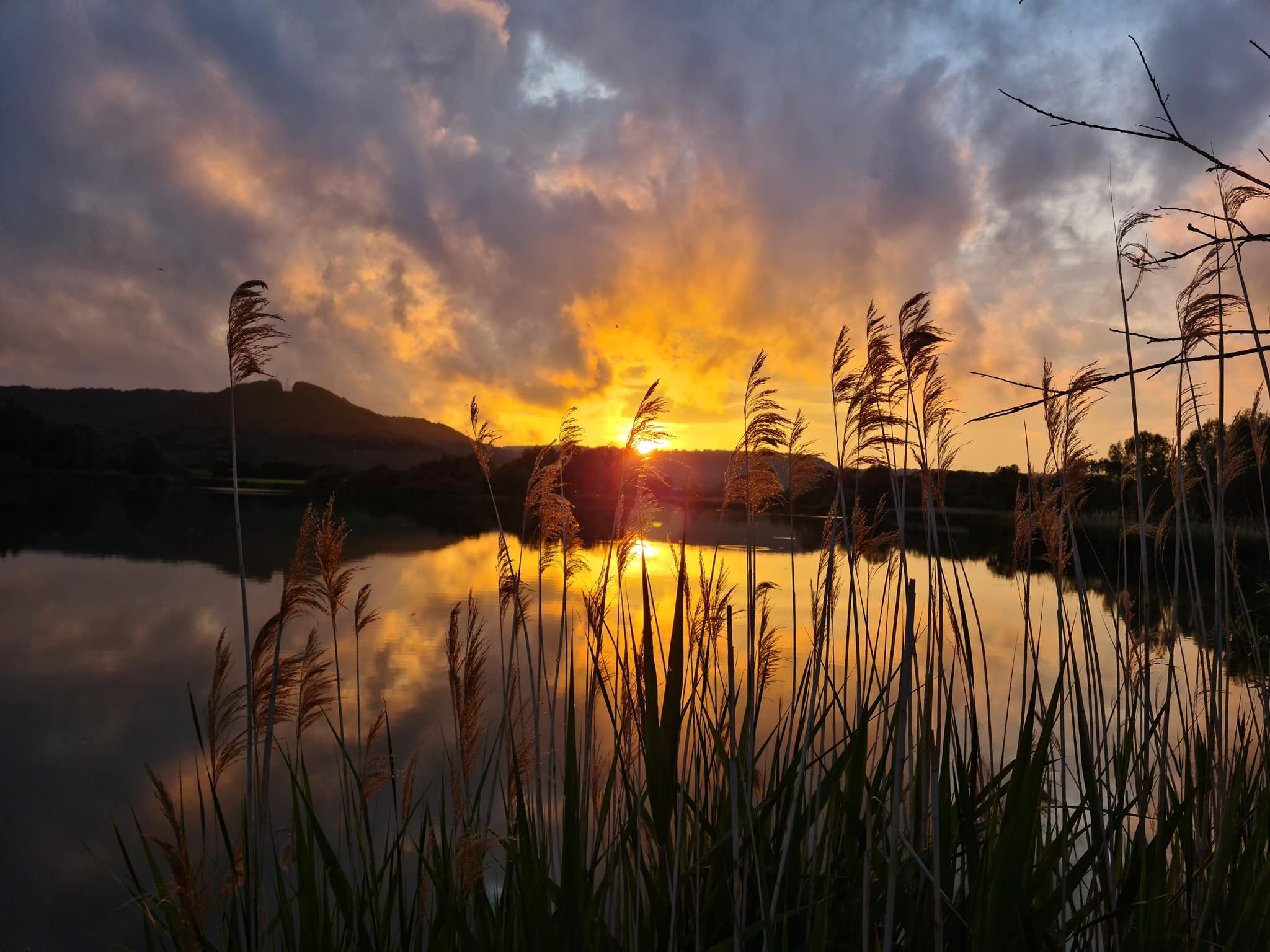 Lac De Madine - Grand Lac Public - La Meuse (55) | Colinmaire.net