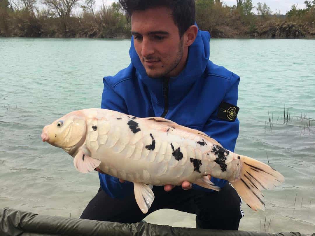 Home Carpe – Lac Privé – Vaucluse (84) | Colinmaire.net