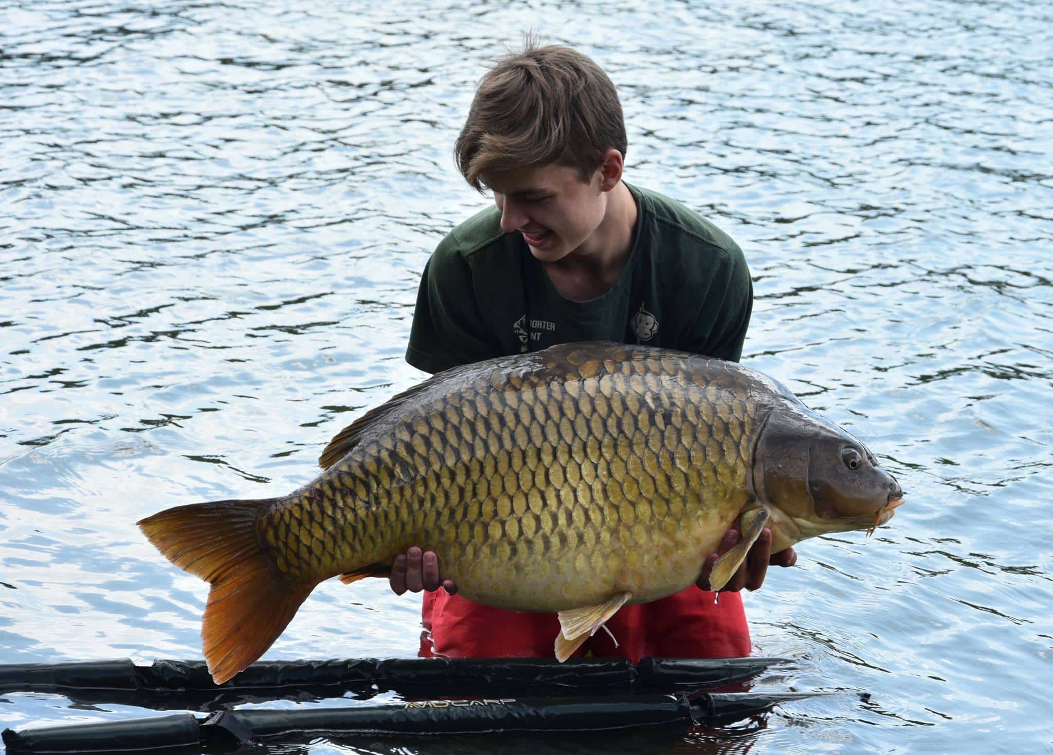 Jurassik Carpe - Etang De Mont – Lac Privé – Allier (03) | Colinmaire.net
