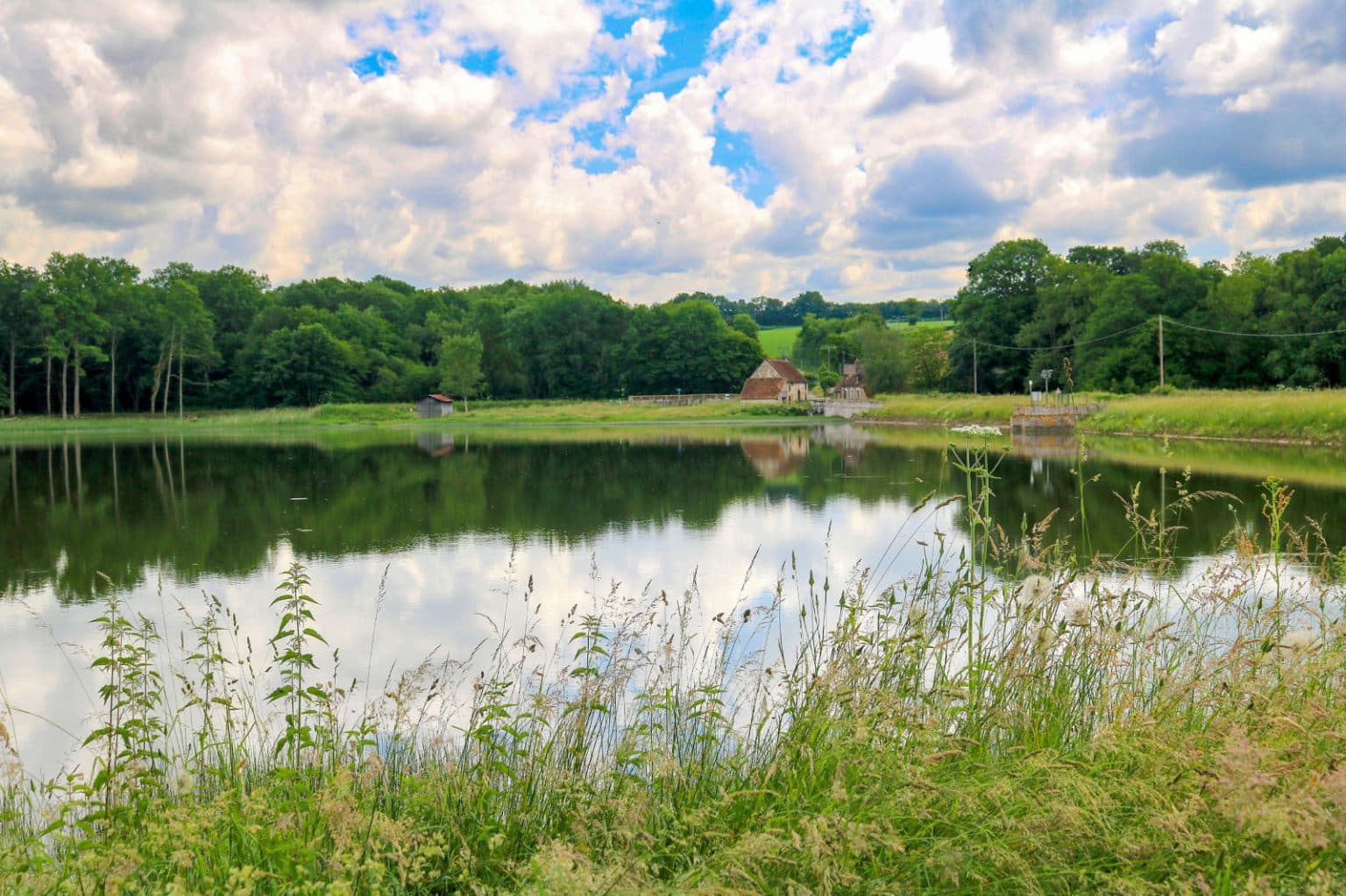 Etang De Moutiers – Etang Public De L'Yonne (89) : Guide Complet Et ...